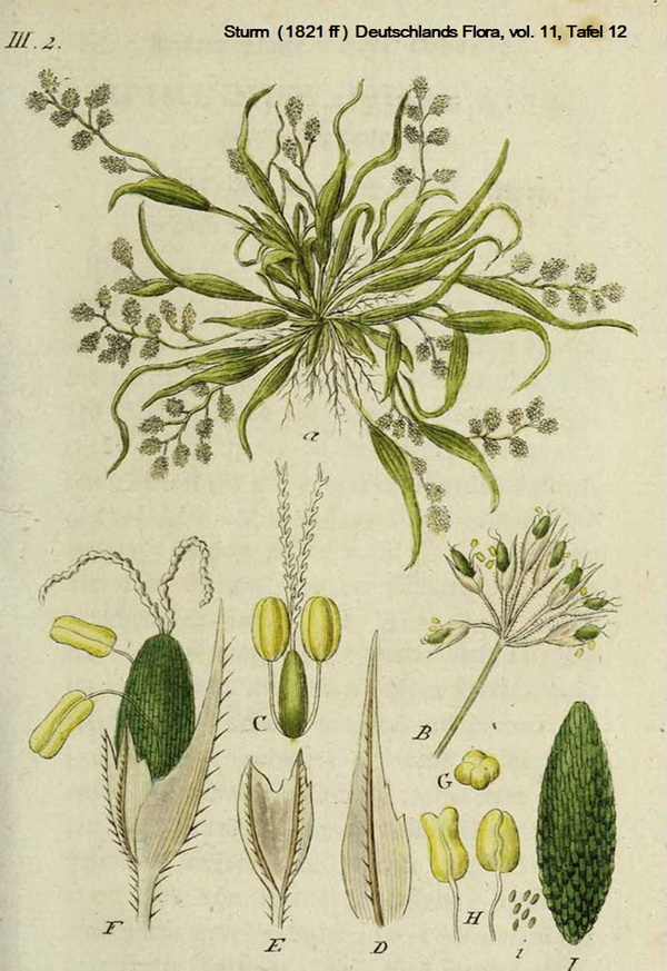 Art | Naturportal Südwest