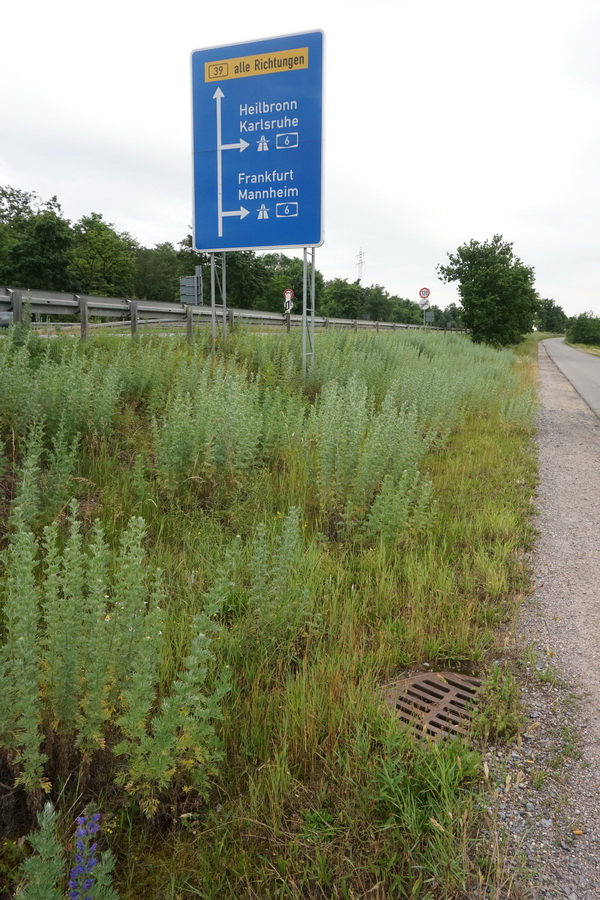 Art | Naturportal Südwest