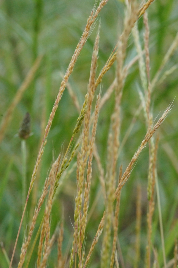 Art | Naturportal Südwest