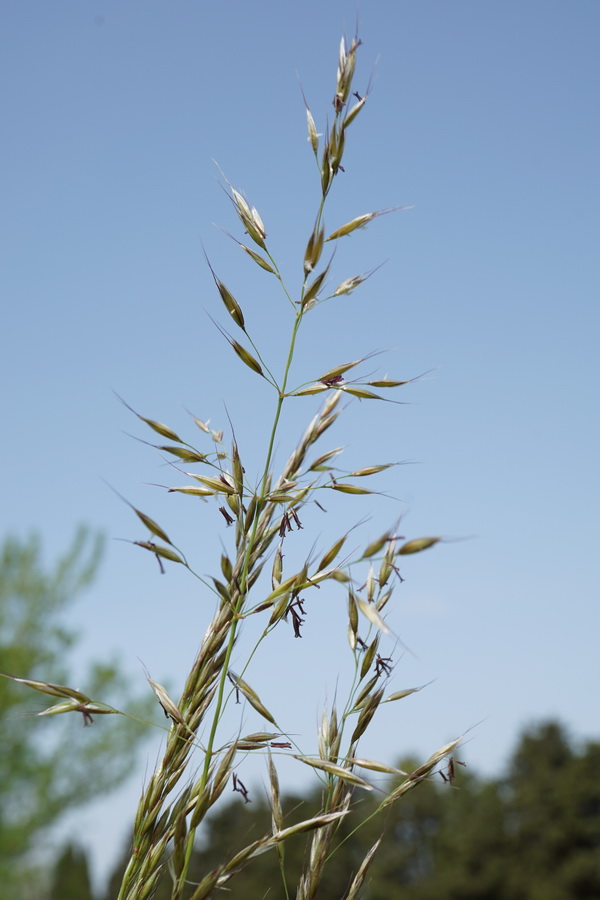 Art | Naturportal Südwest