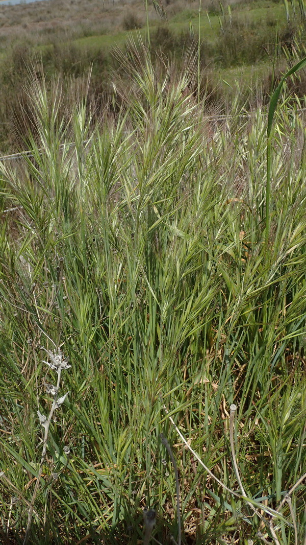 Art | Naturportal Südwest