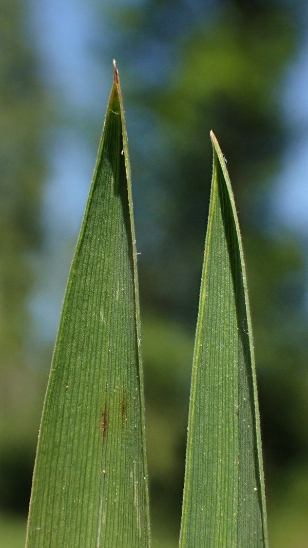 Art: Naturportal Südwest Naturkundemuseum Stuttgart