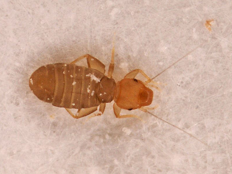 Art | Naturportal Südwest