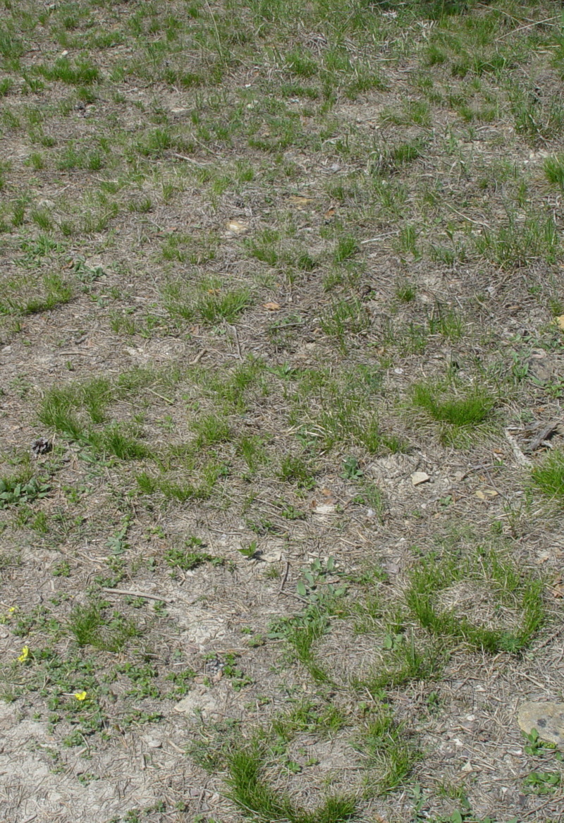 Art | Naturportal Südwest