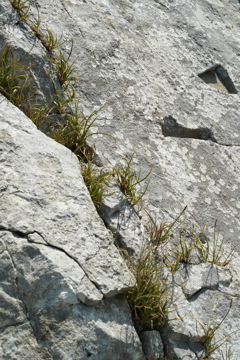 Art | Naturportal Südwest