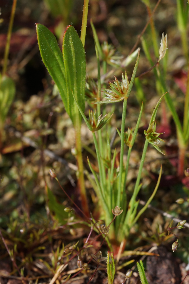 Art | Naturportal Südwest