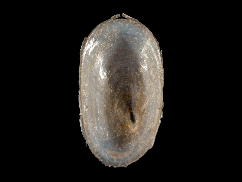 Art | Naturportal Südwest