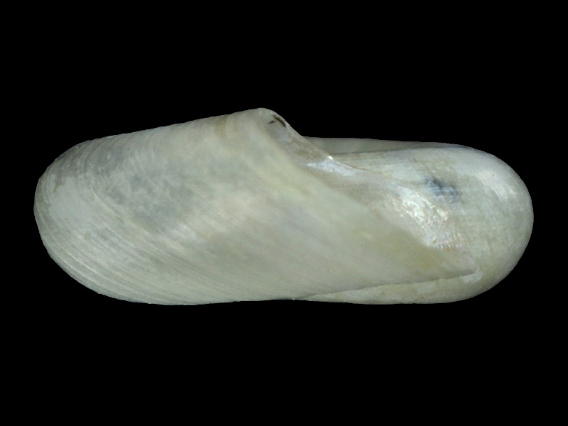 Art | Naturportal Südwest