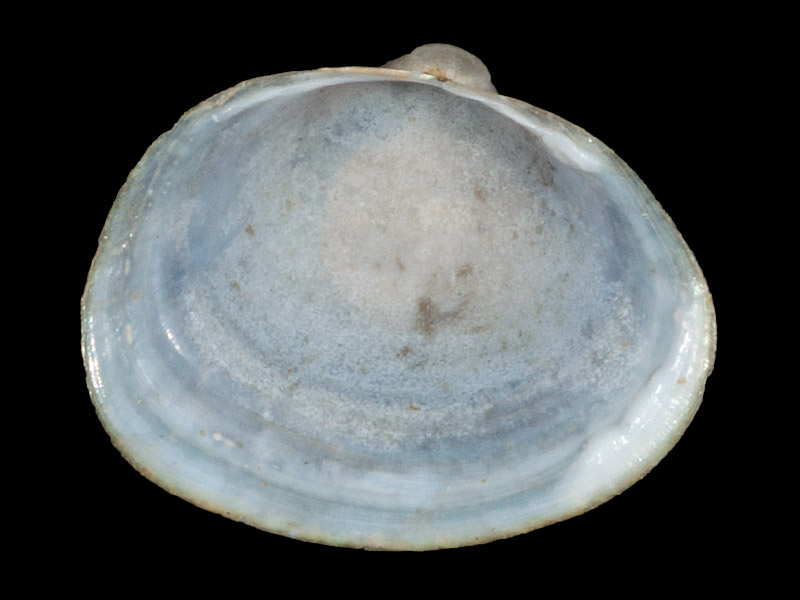 Art | Naturportal Südwest