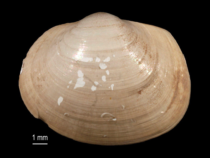 Art | Naturportal Südwest