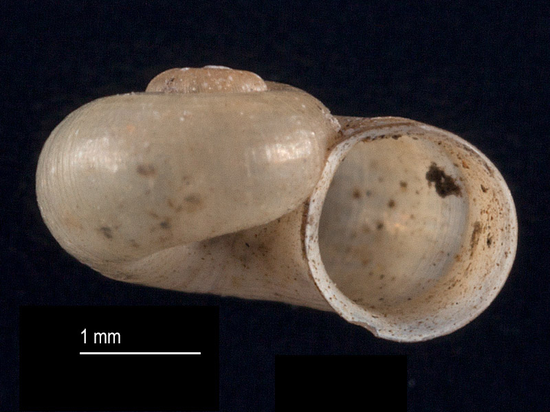 Art | Naturportal Südwest