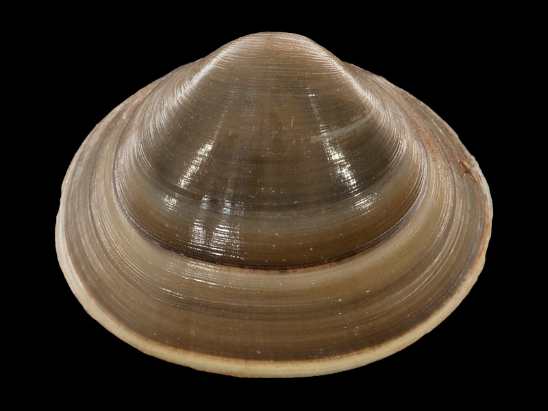 Art | Naturportal Südwest